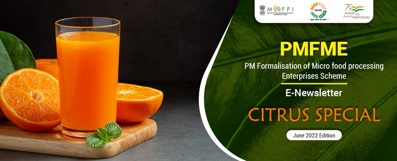 Home [pmfme.mofpi.gov.in]